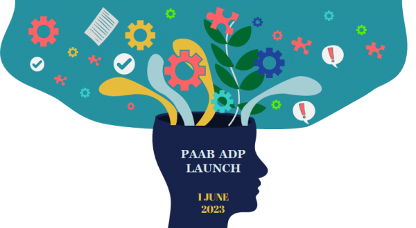 Audit Development Programme – Public Accountants and Auditors Board